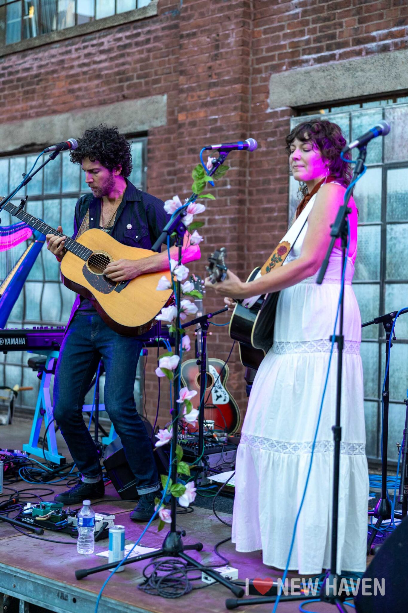 Stephen Peter Rogers and Stefanie Clark Harris Performing